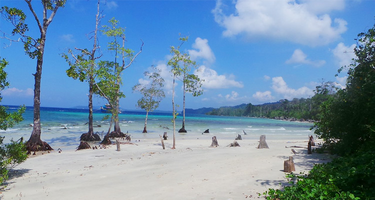 Elephant Beach Andaman (Entry Fee, Timings, History, Built by, Images ...