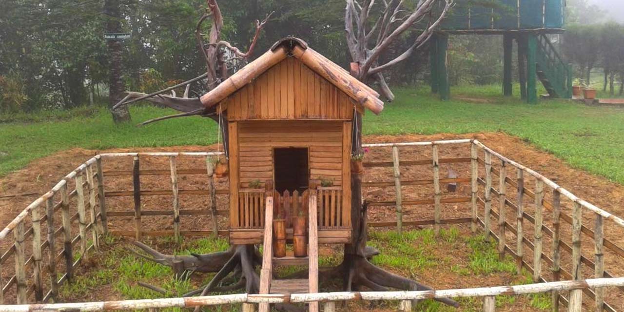 Mount Harriet National Park Andaman (Entry Fee, Timings, History, Built ...