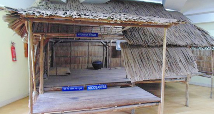 Zonal Anthropological Museum Andaman (Entry Fee, Timings, History ...